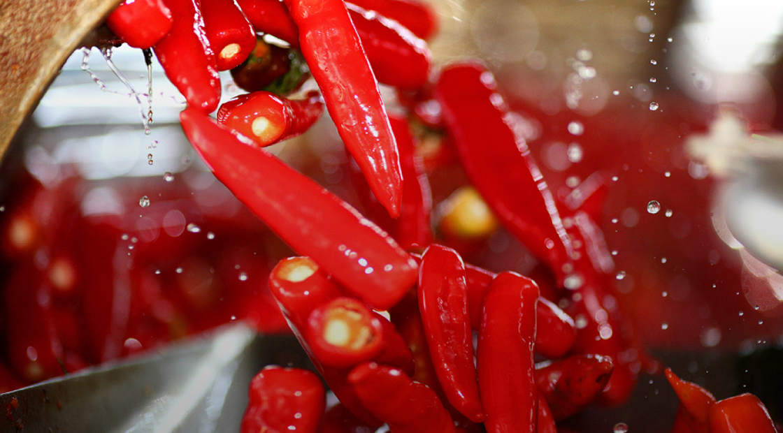 Home [www.univer.hu]